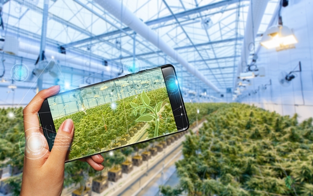 온도·물·습도 지배하는 AI, 스마트팜 운영 맡는다